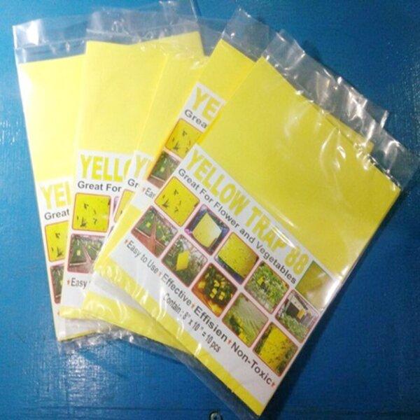 Jual Yellow Trap Lem Perangkap Perekat Serangga Kuning Hama Lalat Buah ...