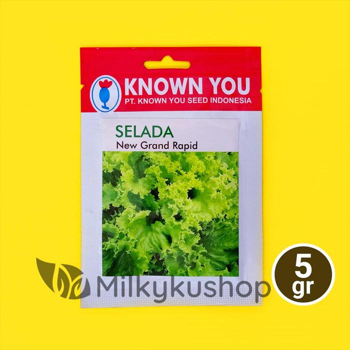 Jual BENIH KYS KNOWN YOU SEED NEW GRAND RAPID SELADA 5 GRAM KEMASAN PABRIK - Jakarta Barat ...