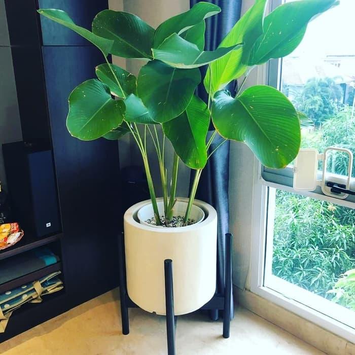 Jual Pot taman teraso tipe minimalis silinder standing - Kota Depok ...