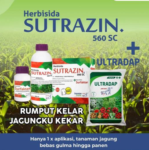 Toko Toko_SAM Online - Produk Lengkap & Harga Terbaik | Tokopedia