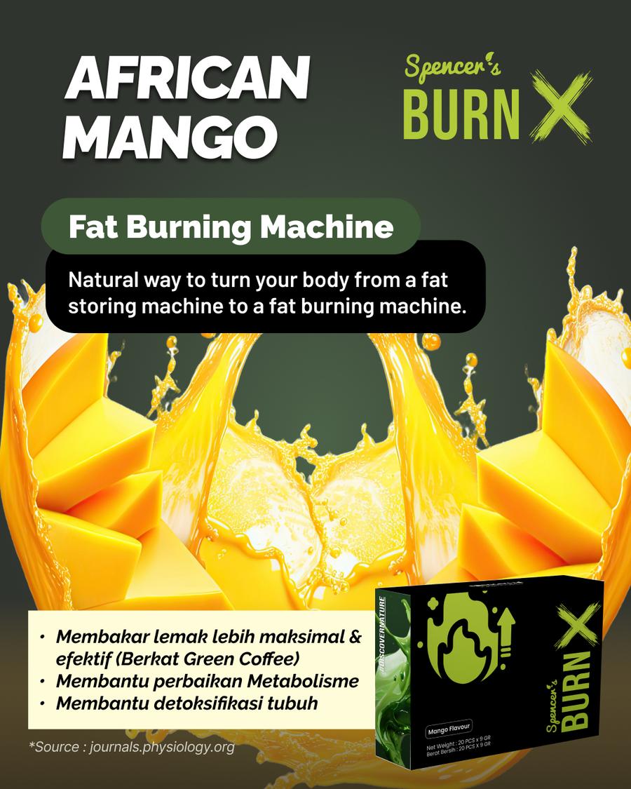 Spencer's Burn X African Mango - Arvamall.com